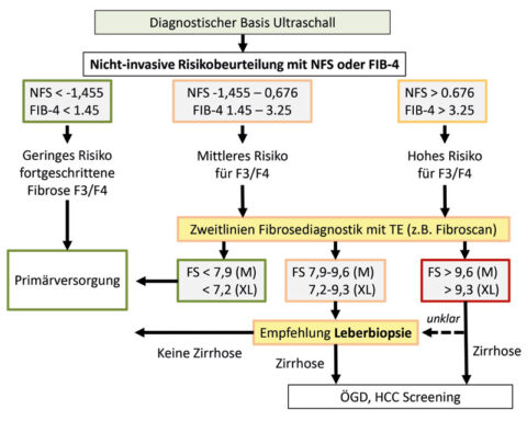 Nicht-alkoholische Fettlebererkrankung (NAFLD) – eine komplexe Erkrankung auf dem Vormarsch ...